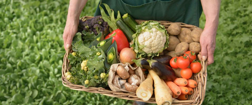 local-sourced-organic-food - New Masons Arms